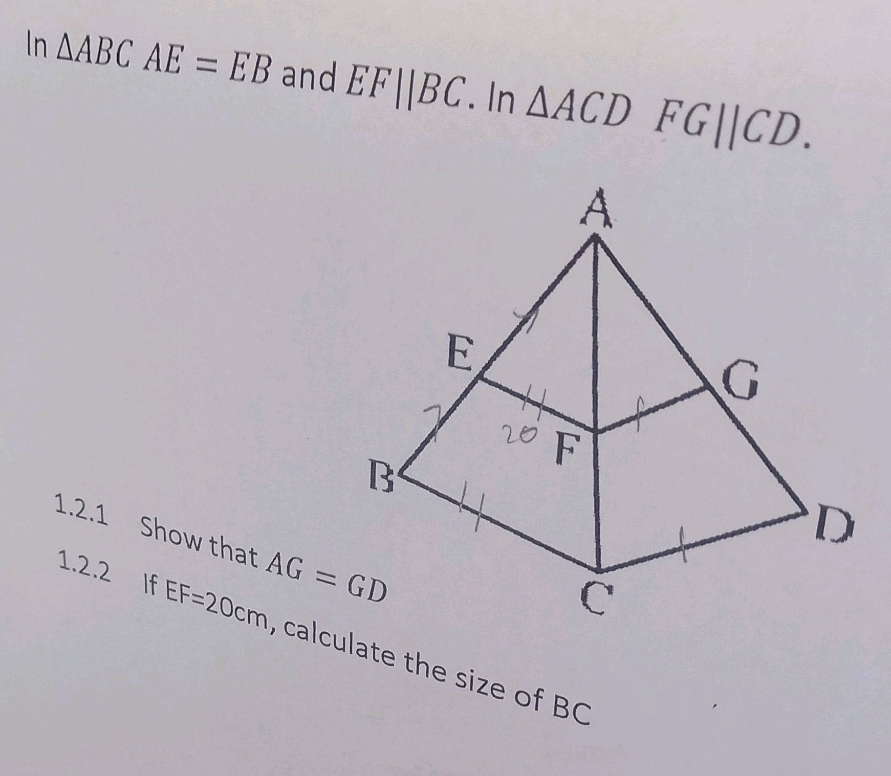 In $ ABC$ $AE = EB$ and $EF BC$. In $ | StudyX