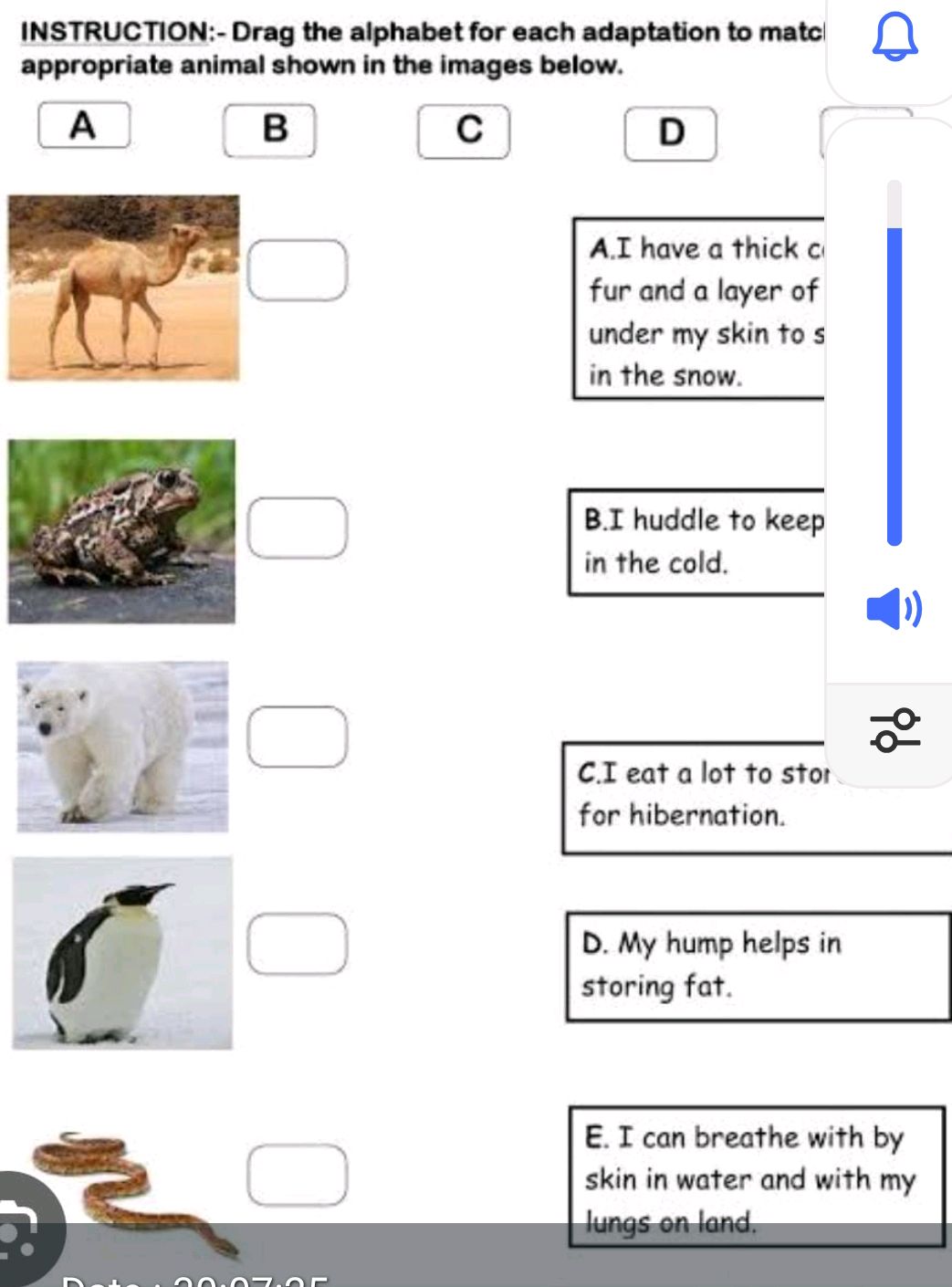 INSTRUCTION:- Drag the alphabet for each | StudyX