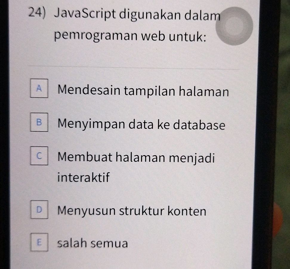 24) JavaScript digunakan dalam pemrograman | StudyX
