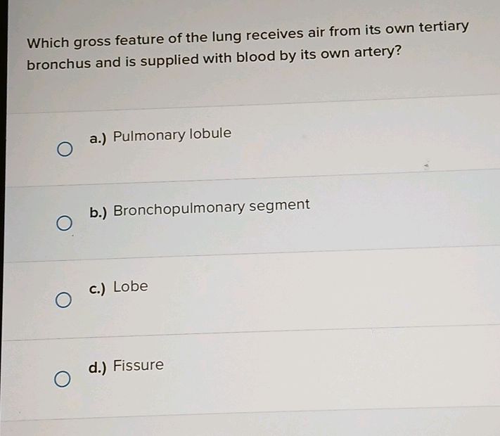 Which gross feature of the lung receives air