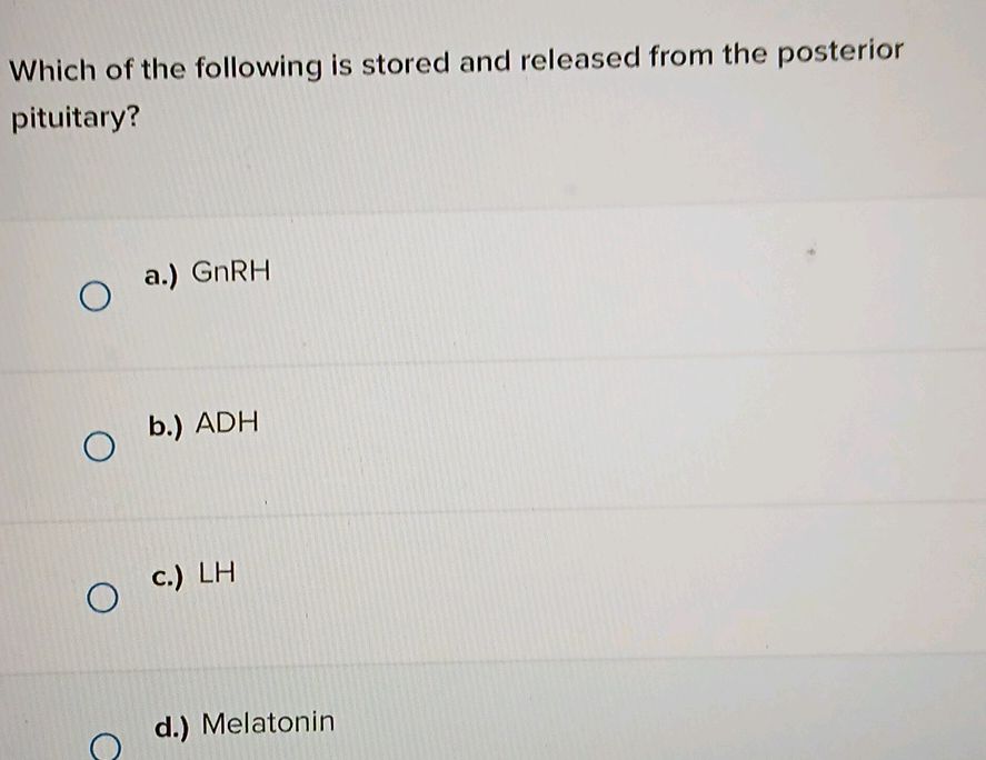 Which of the following is stored and | StudyX