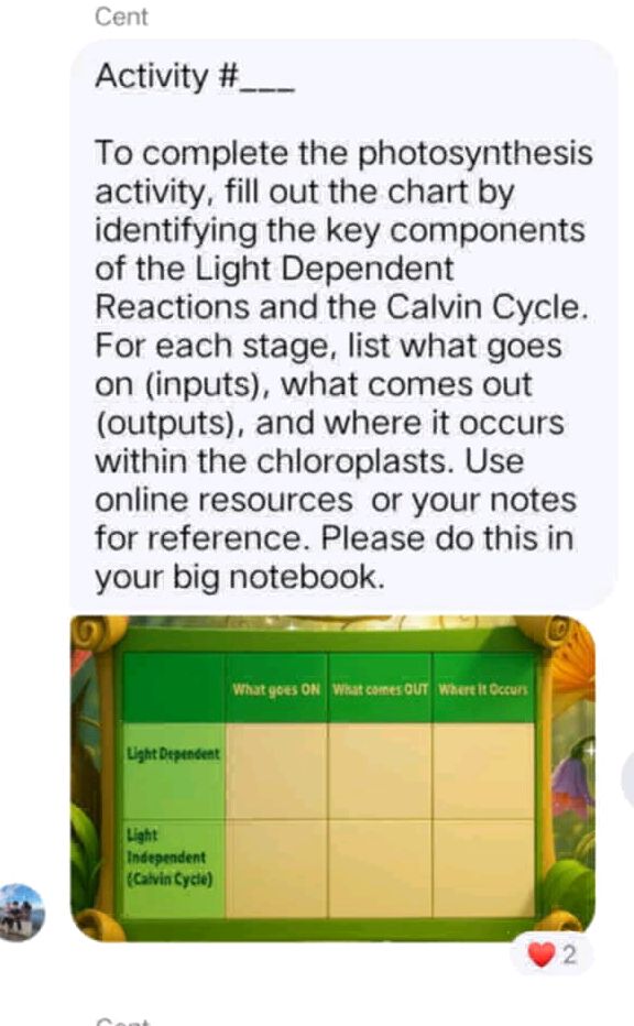 To complete the photosynthesis activity,