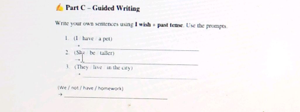 Write your own sentences using I wish + past