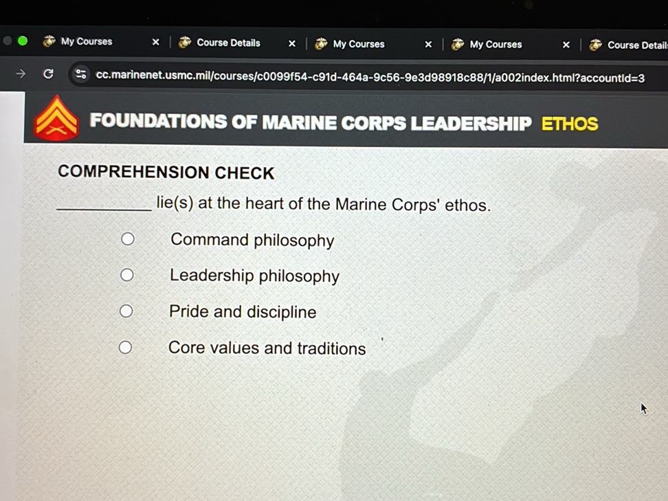 lie(s) at the heart of the Marine | StudyX
