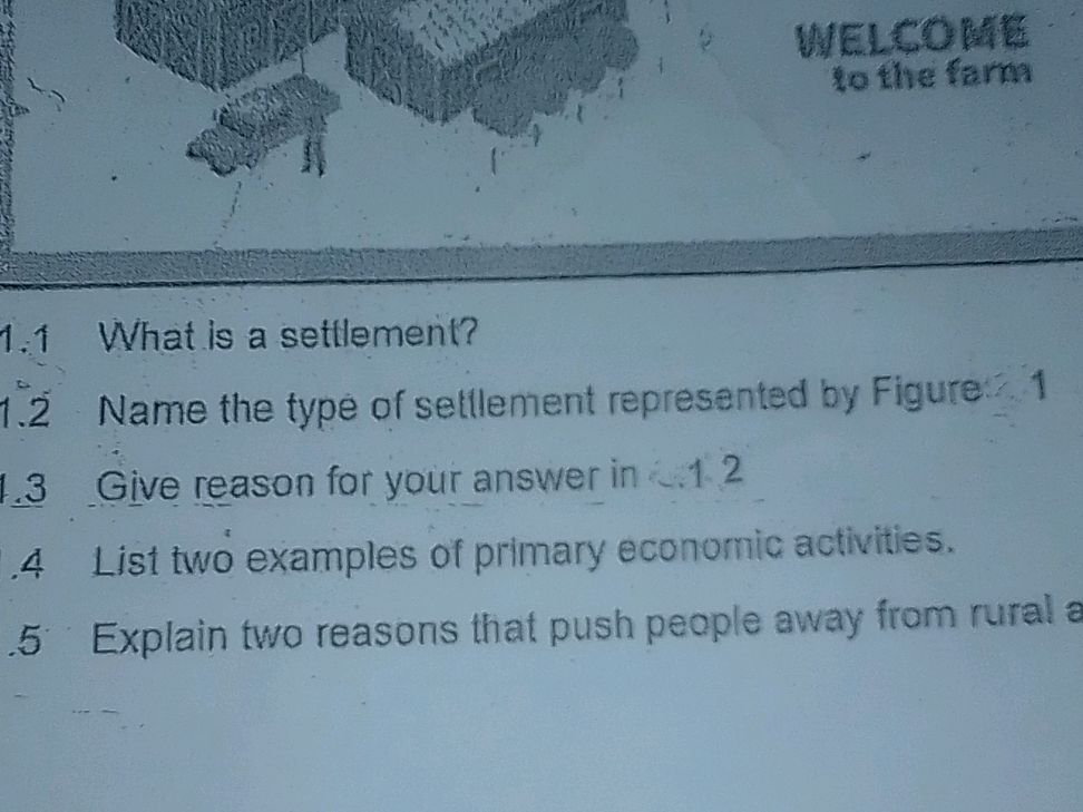 1.1 What is a settlement? 1.2 Name the type | StudyX
