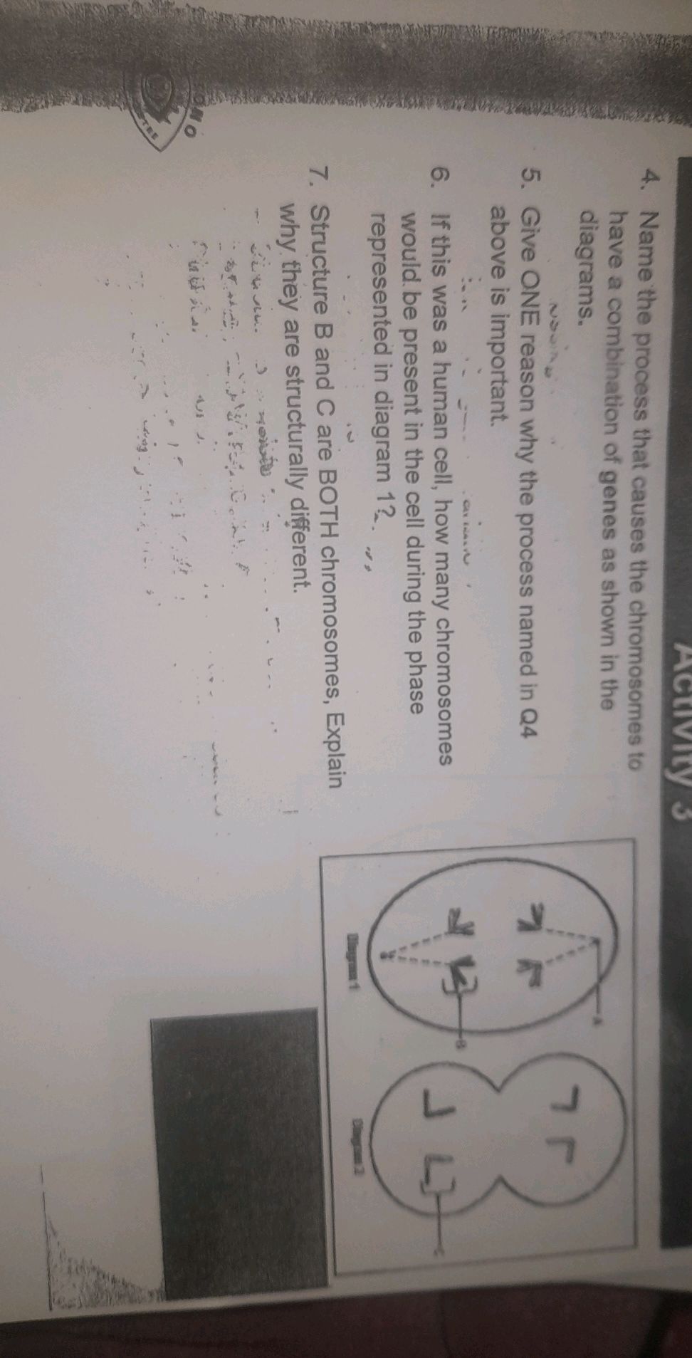 Name the process that causes the chromosomes