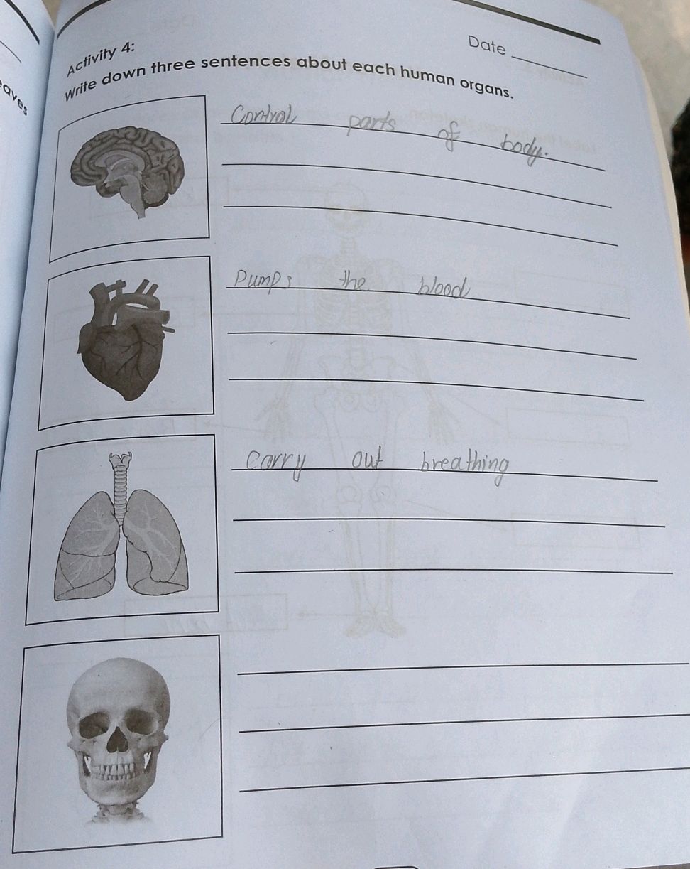 Activity 4: Write down three sentences about