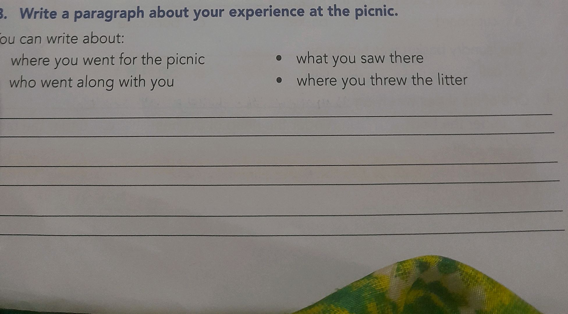 Write a paragraph about your experience at