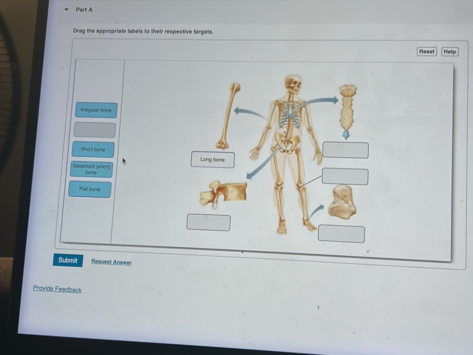 Part A Drag the appropriate labels to their | StudyX