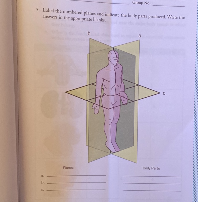5. Label the numbered planes and indicate | StudyX