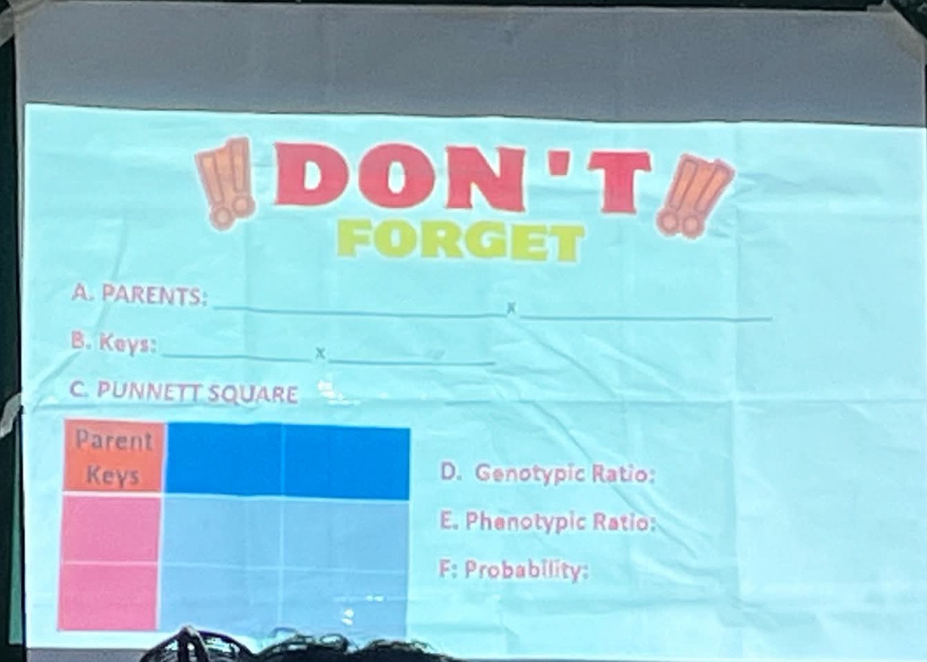 A. PARENTS: B. Keys: C. PUNNETT SQUARE D. | StudyX