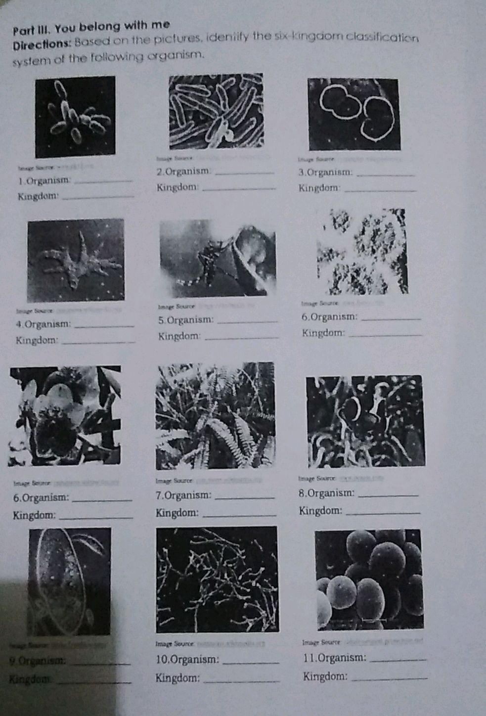 Part III. You belong with me Directions: | StudyX