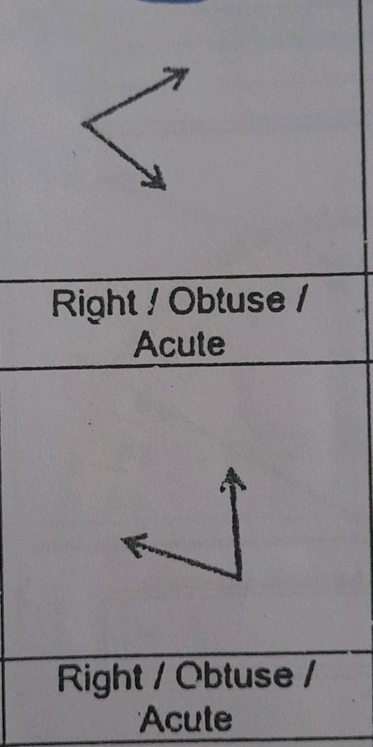 Identify the type of angle: (Image of an | StudyX