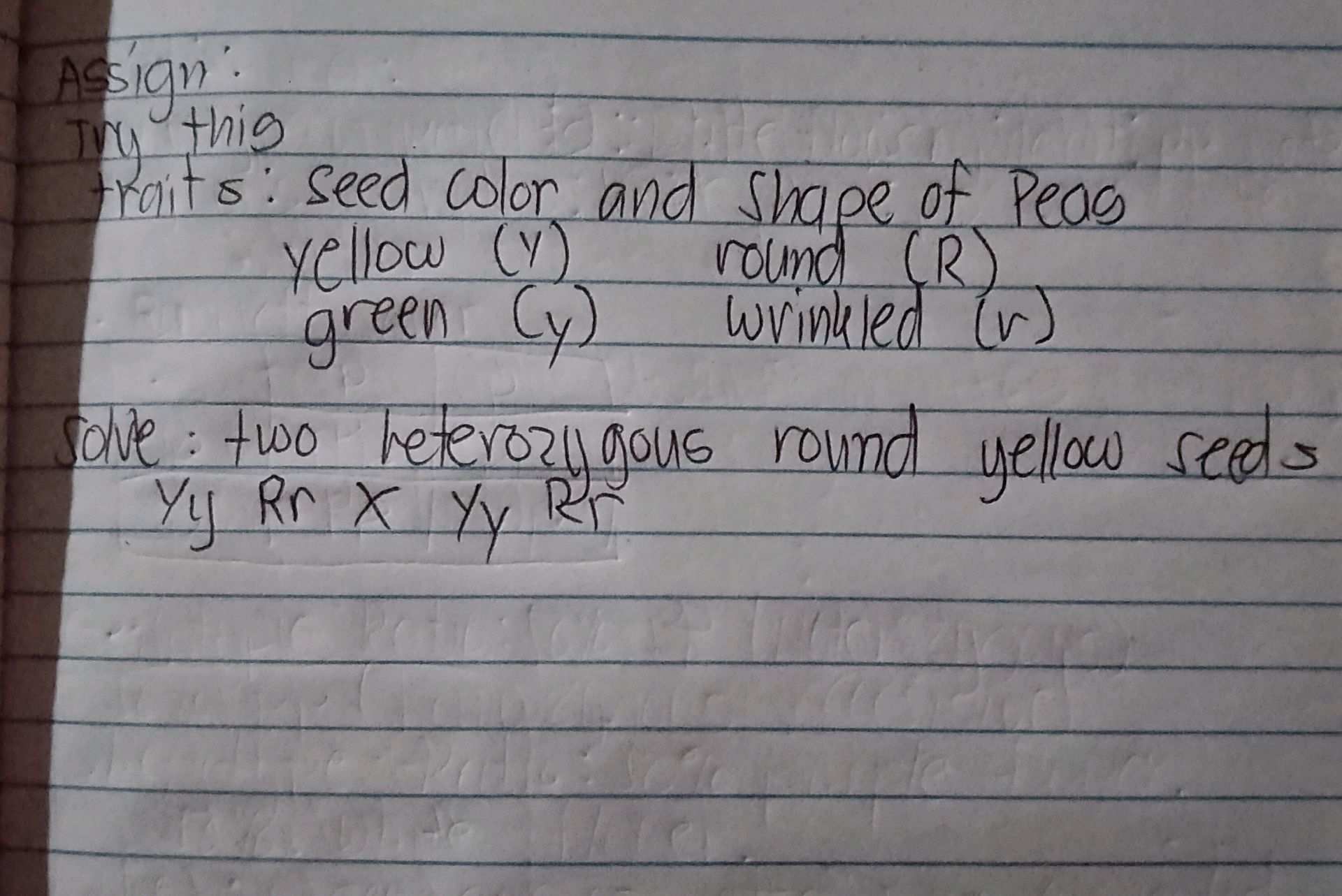 traits: seed color and Shape of Peas yellow | StudyX
