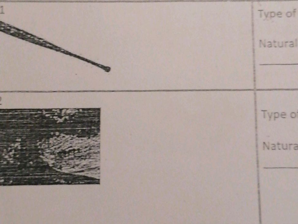 The image contains a diagram and a picture, | StudyX