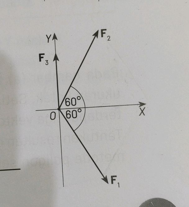 The image shows a diagram of vectors. The | StudyX