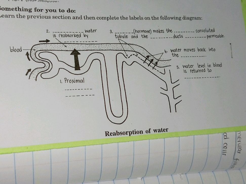 Learn the previous section and then complete