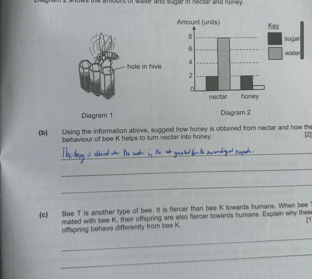 (b) Using the information above, suggest how | StudyX