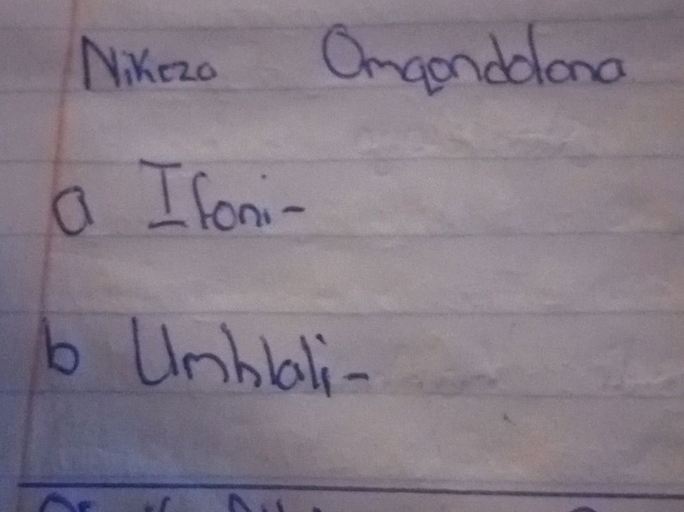 Nikezo Omgondlana - Translation | StudyX