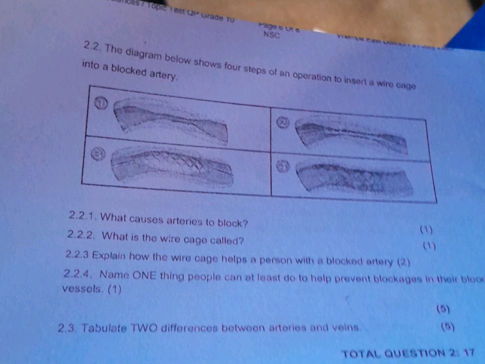2.2. The diagram below shows four steps of | StudyX