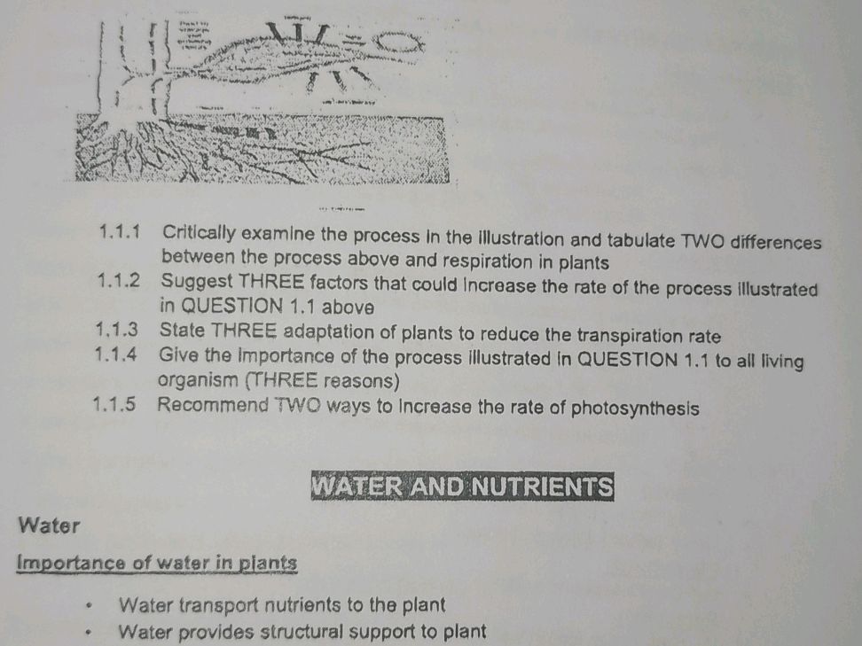 1.1.1 Critically examine the process in the | StudyX