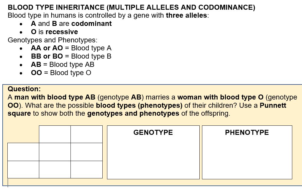 BLOOD TYPE INHERITANCE (MULTIPLE ALLELES AND