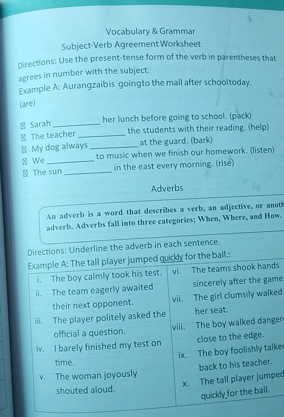 Vocabulary Grammar Subject-Verb Agreement | StudyX