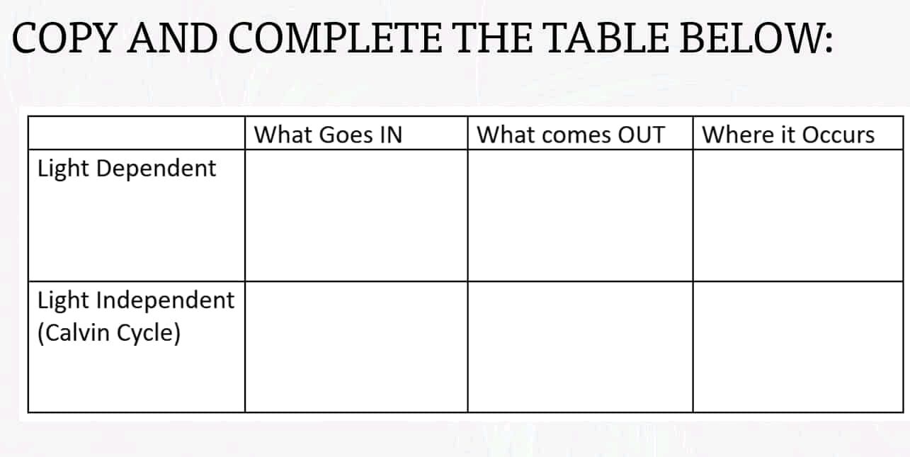 COPY AND COMPLETE THE TABLE BELOW: | | StudyX
