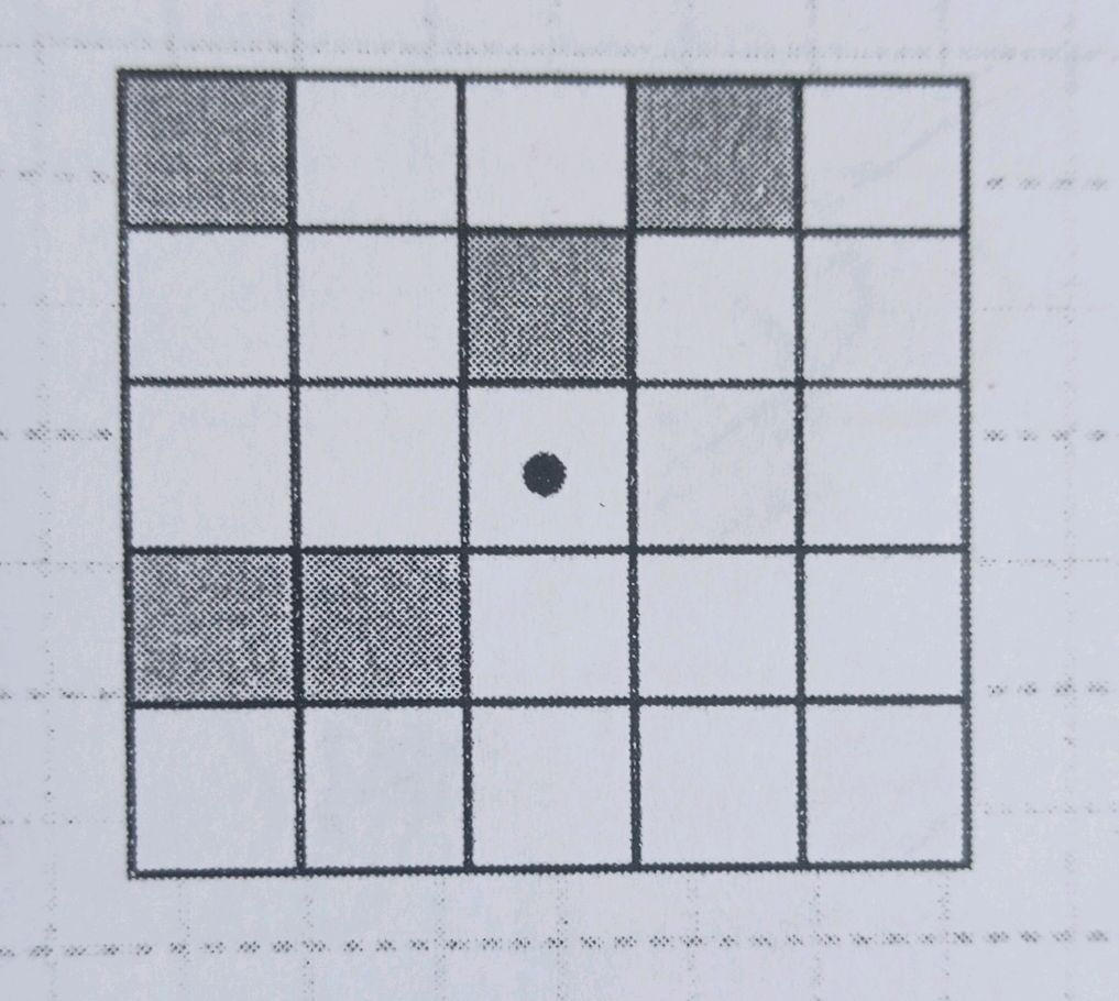 The image shows a 6x6 grid with some cells
