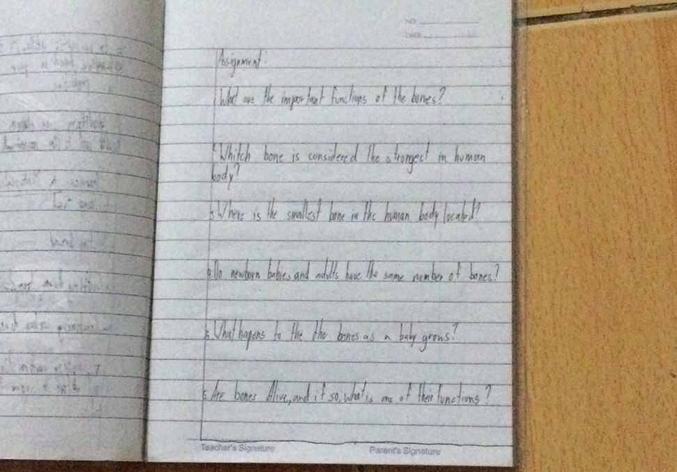 What are the important functions of the | StudyX