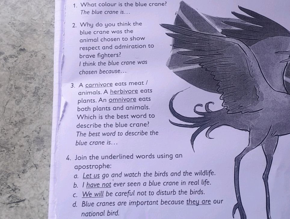 1. What colour is the blue crane? The blue | StudyX