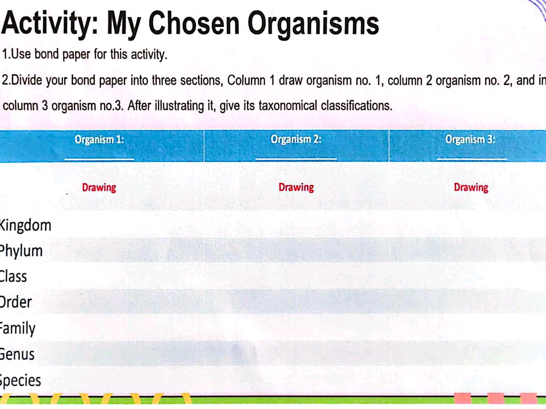 Use bond paper for this activity. 2. Divide