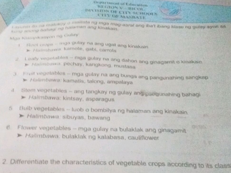 Mga Klasipikasyon ng Gulay 1. Root crops - | StudyX