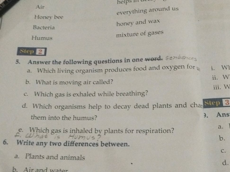 5. Answer the following questions in one | StudyX