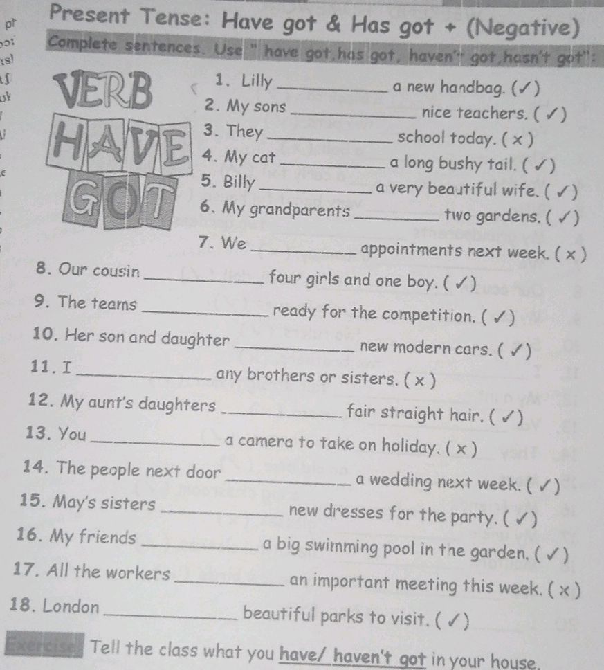 Present Tense: Have got Has got + (Negative) | StudyX