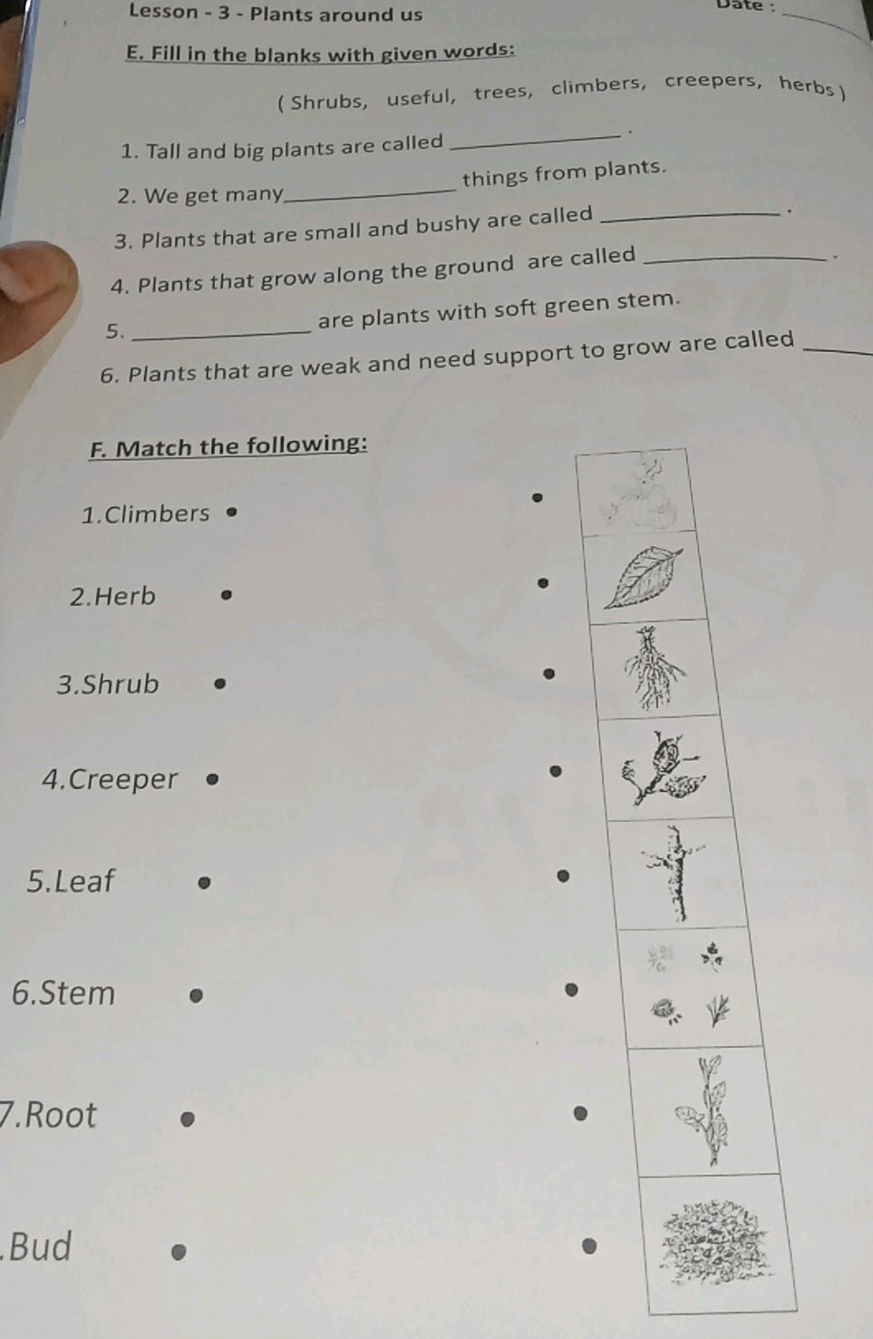 E. Fill in the blanks with given words: | StudyX