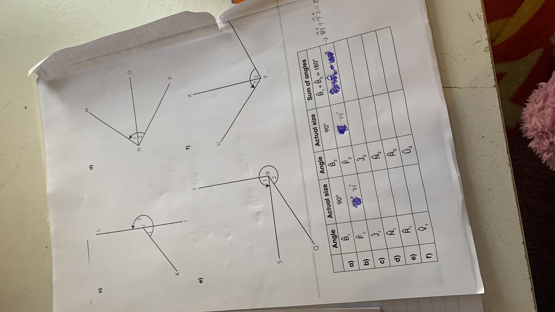 Measure all the angles using a protractor | StudyX