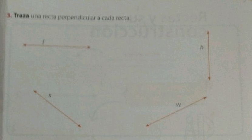 Traza una recta perpendicular a cada recta.