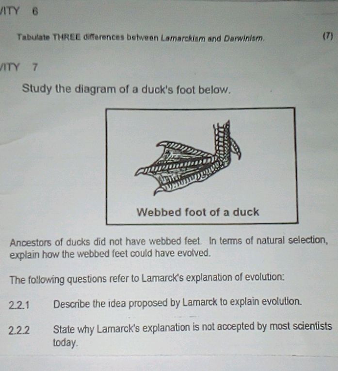 Tabulate THREE differences between | StudyX