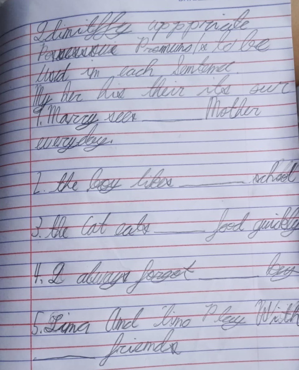 Identify appropriate possessive pronouns to | StudyX