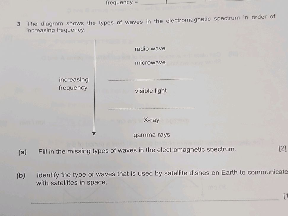 3 The diagram shows the types of waves in | StudyX