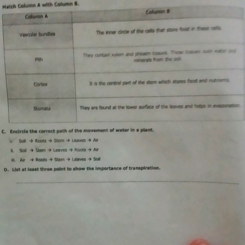 Match Column A with Column B. | Column A | | StudyX