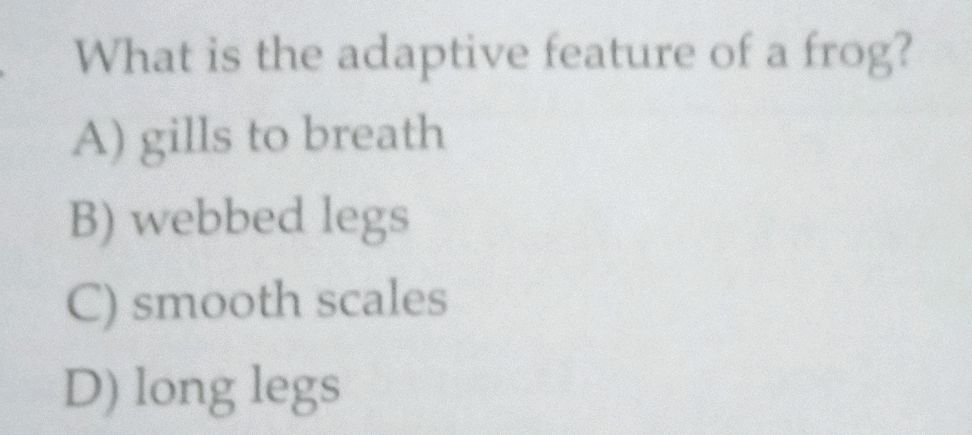 What is the adaptive feature of a frog? A)