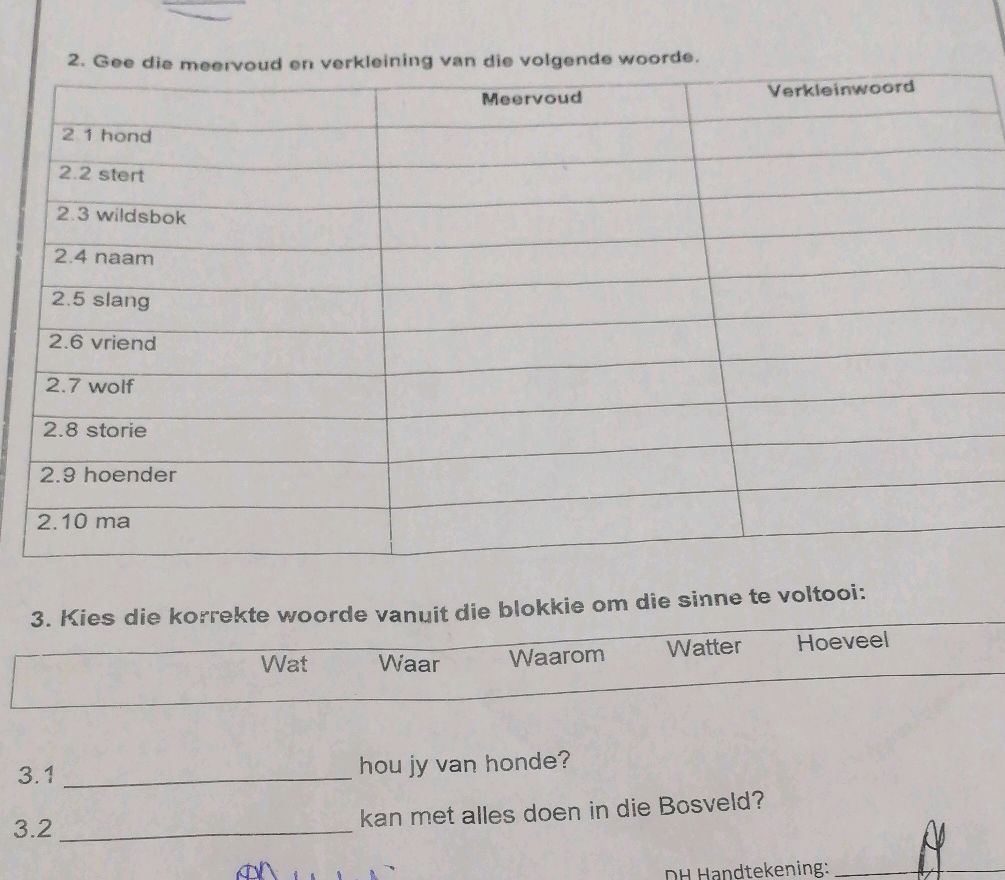 Gee die meervoud en verkleining van die