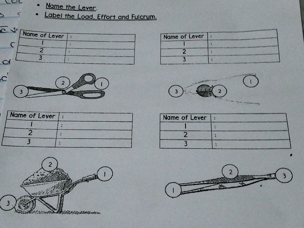 Name the Lever. Label the Load, Effort and | StudyX