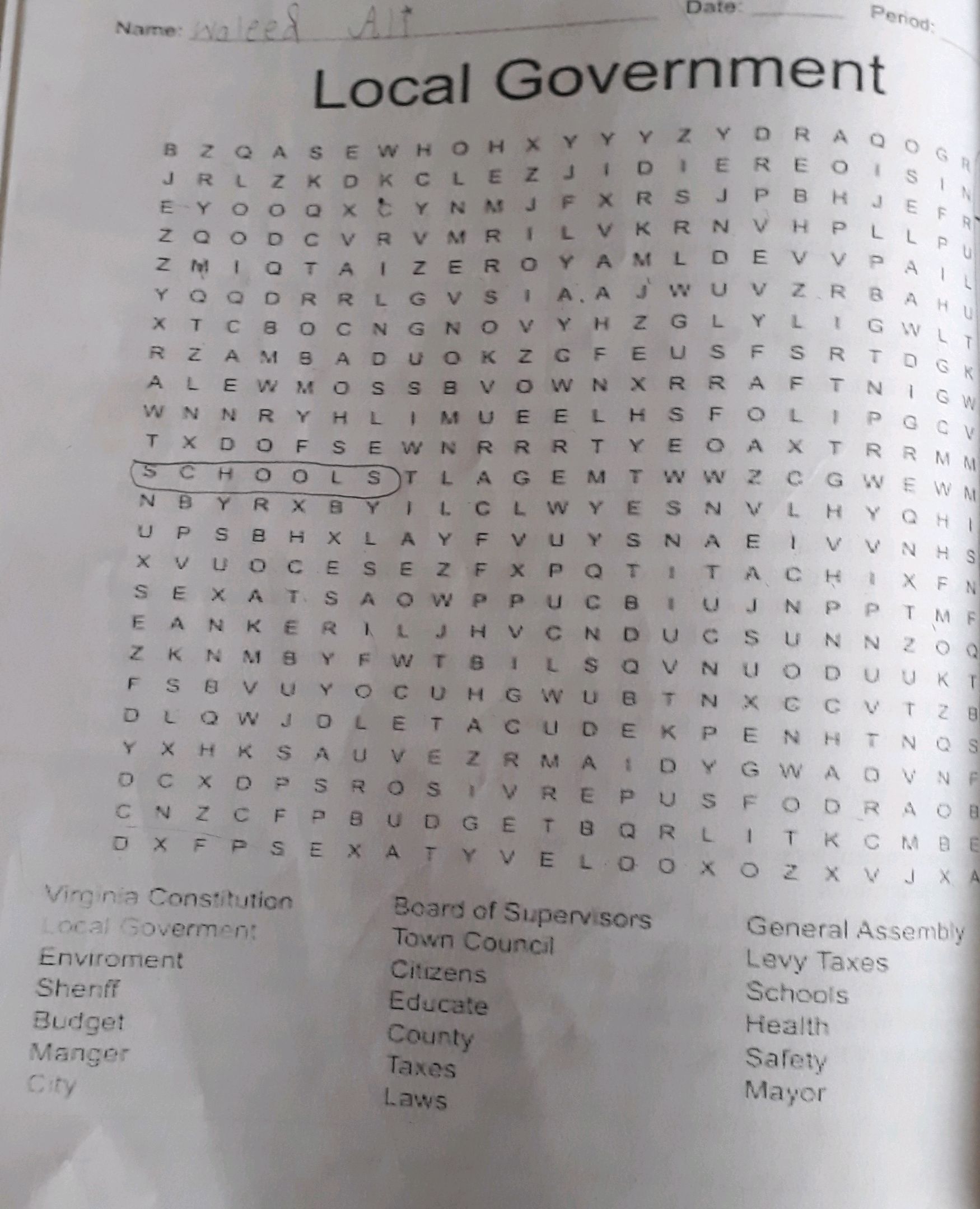 Find the words related to Local Government | StudyX
