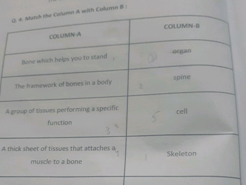 Q. 4. Match the Column A with Column B: