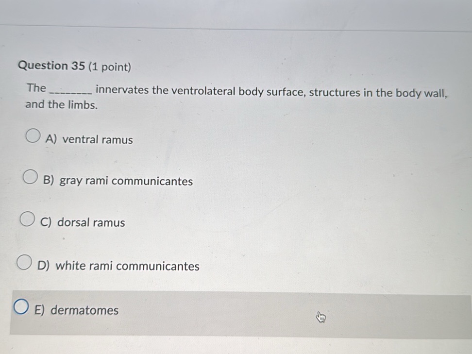 Question 35 (1 point) The innervates the