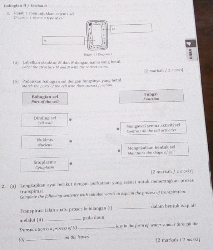 Rajah 1 menunjukkan sejenis sel. Diagram 1