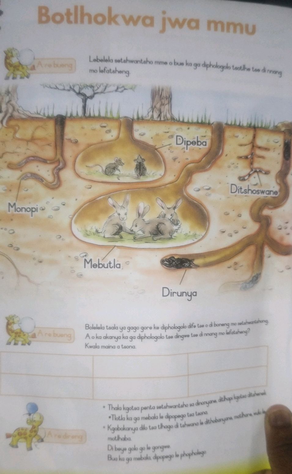 Lebelela setshwantsho mme o bue ka ga | StudyX